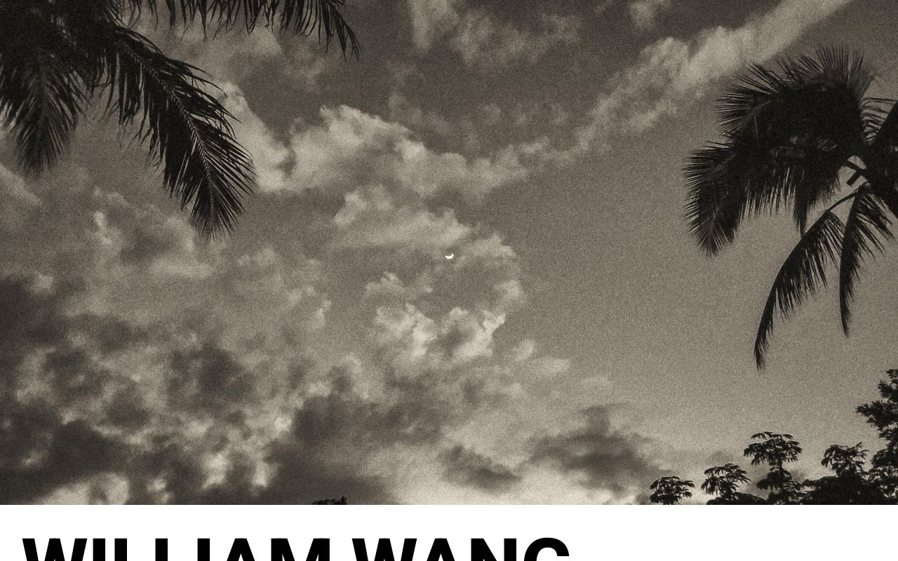 Professional Photographer William Wang